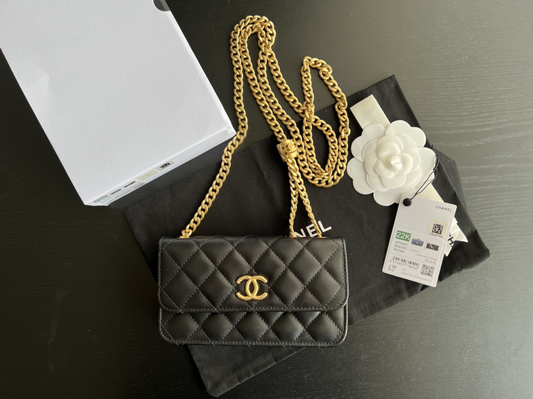 Chanel CC WOC Bag Black - TEMAFES